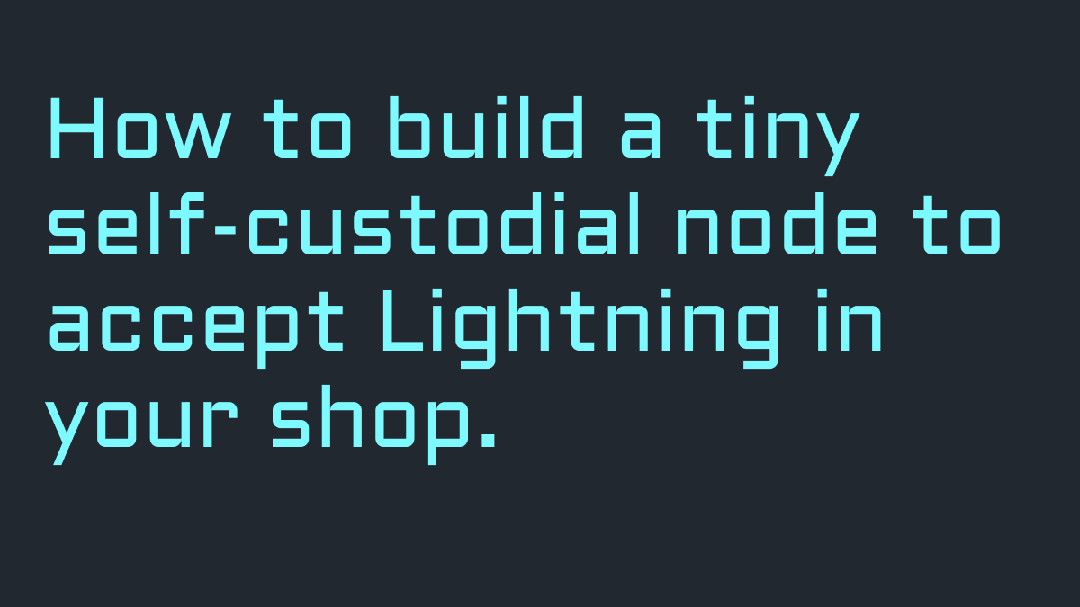 Introducción | Tiny Lightning Node Tutorial